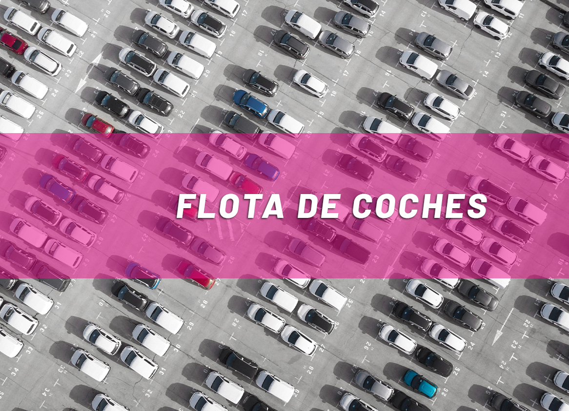 Flota de coches - Noleggiare.it
